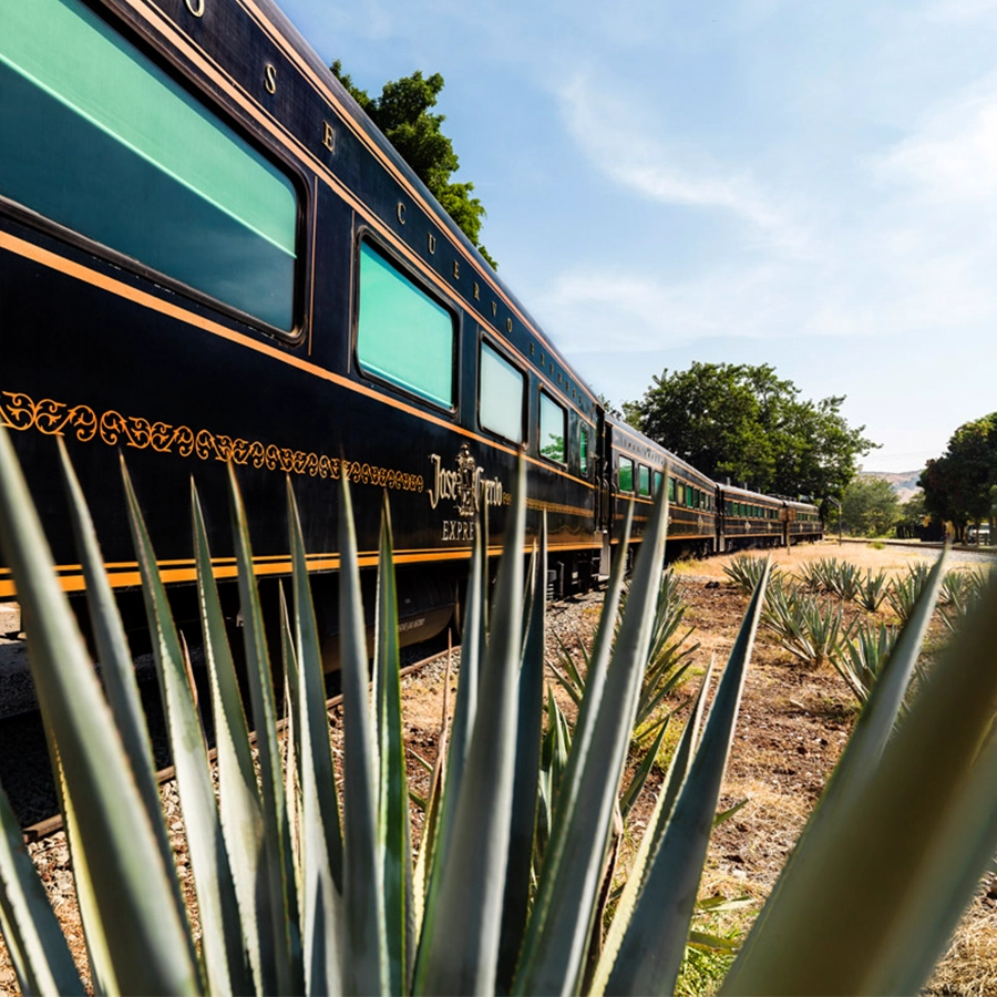 Jose Cuervo Express Train | Journey to the Soul of Tequila